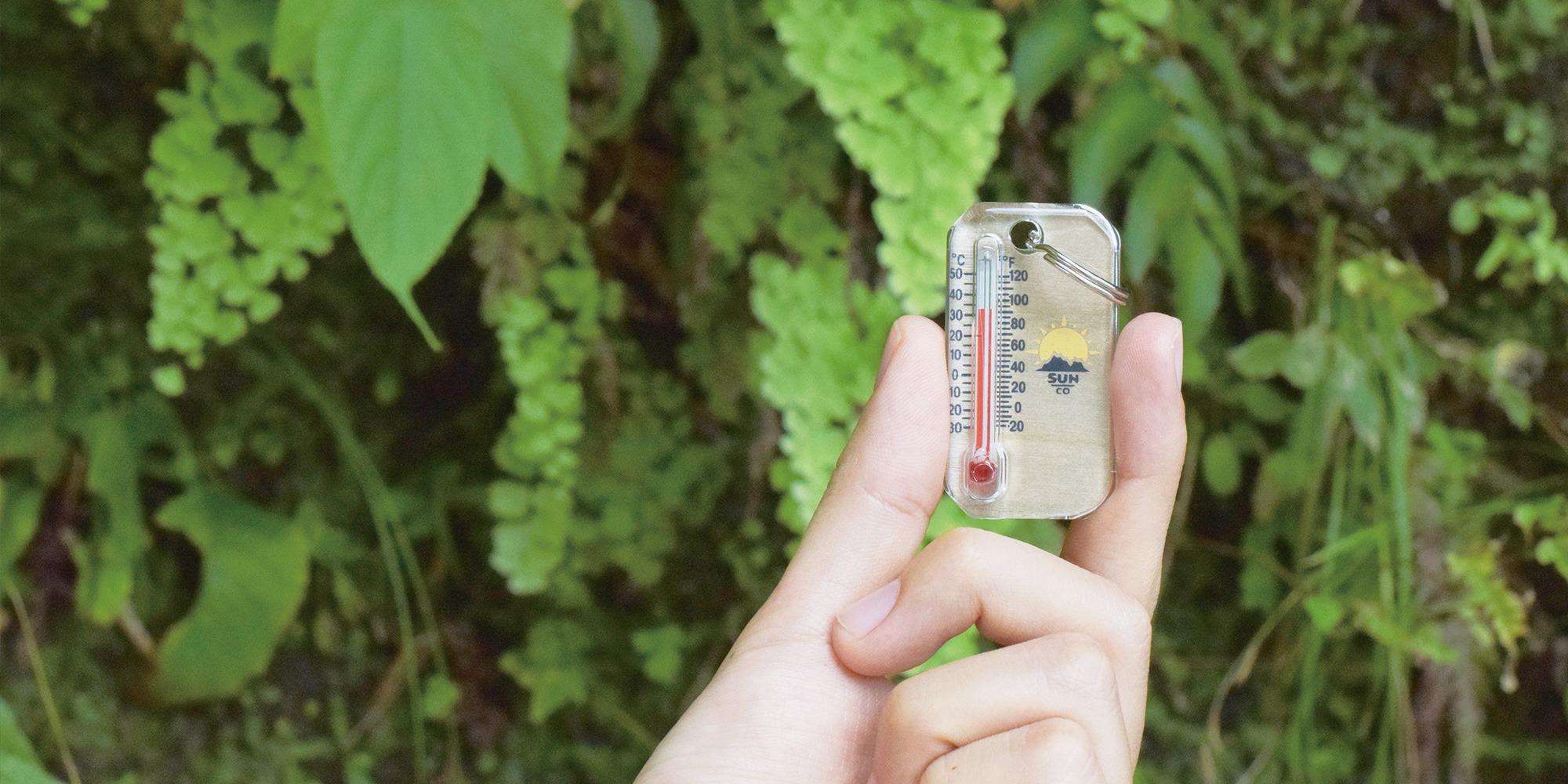 TOP - SUN サン | HIGHMOUNT ハイマウント